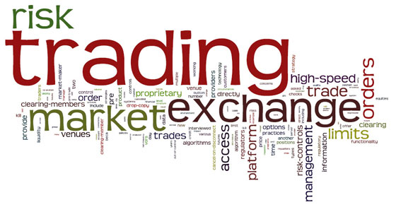 Trading Infrastructure - Direct Market Access - Federal Reserve Bank of ...